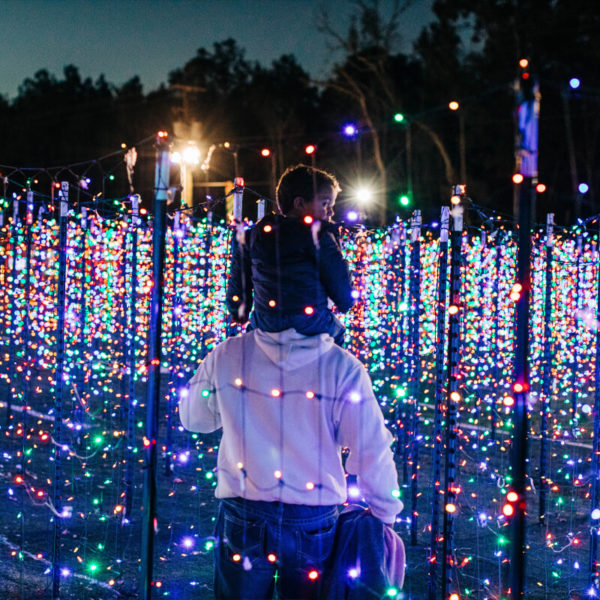 Attractions & Characters | Piney Park - Marshall, TX